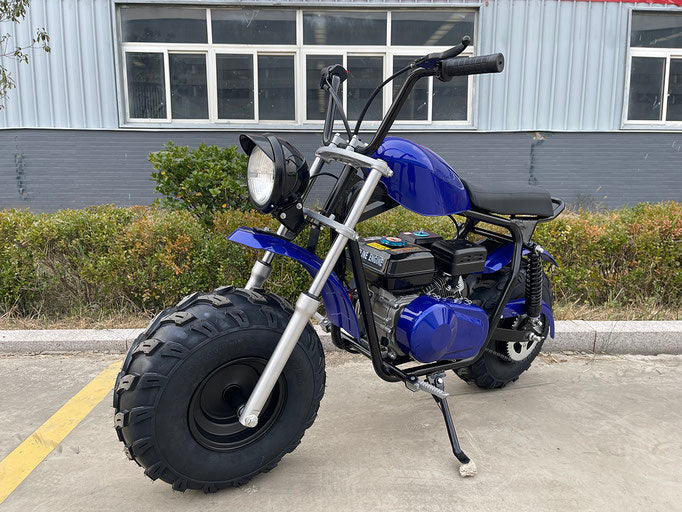 Mini Bikes – Albertsons Powersports